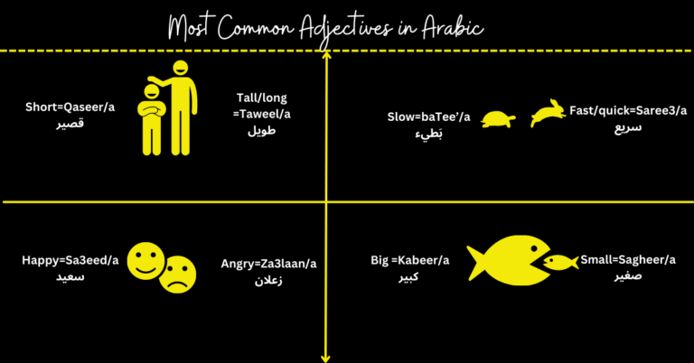 Arabic Adjectives | Mezan Institute